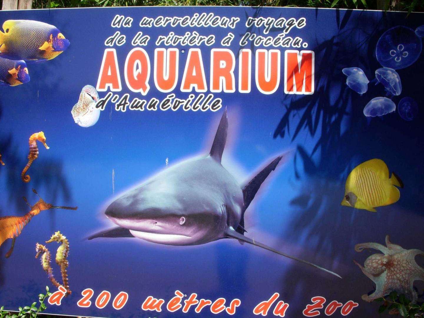 Aquarium Imperator : Parc Animalier Amnéville 57360 (adresse, horaire ...