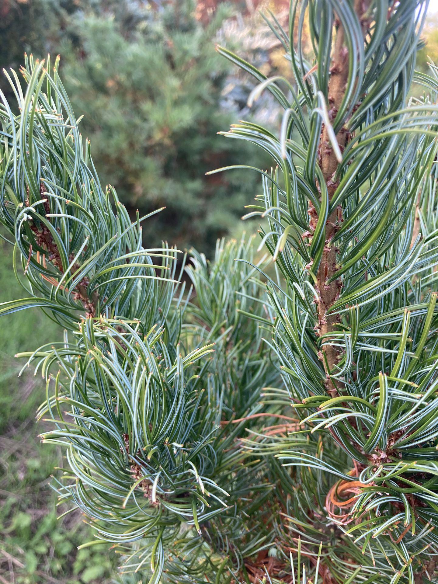 Institut De Beaute Laurie-line Rozier : Coiffeur Bourg En Bresse 01000 ...