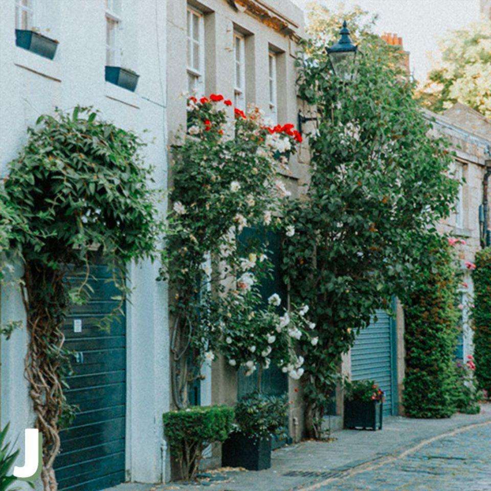 Jardiland : Fleuriste Nîmes 30000 (adresse, horaire et avis)