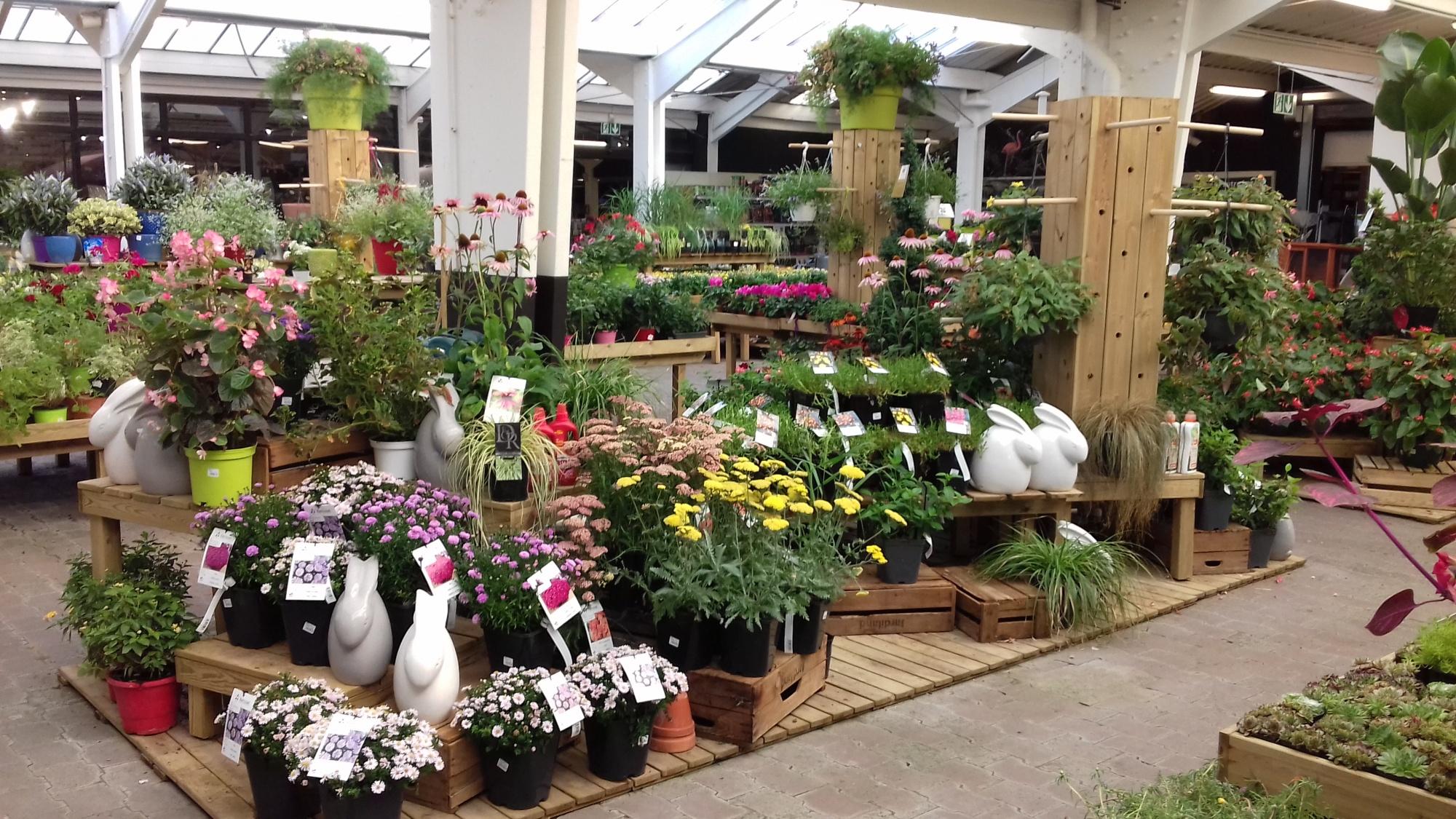 Jardiland : Fleuriste Nîmes 30000 (adresse, horaire et avis)