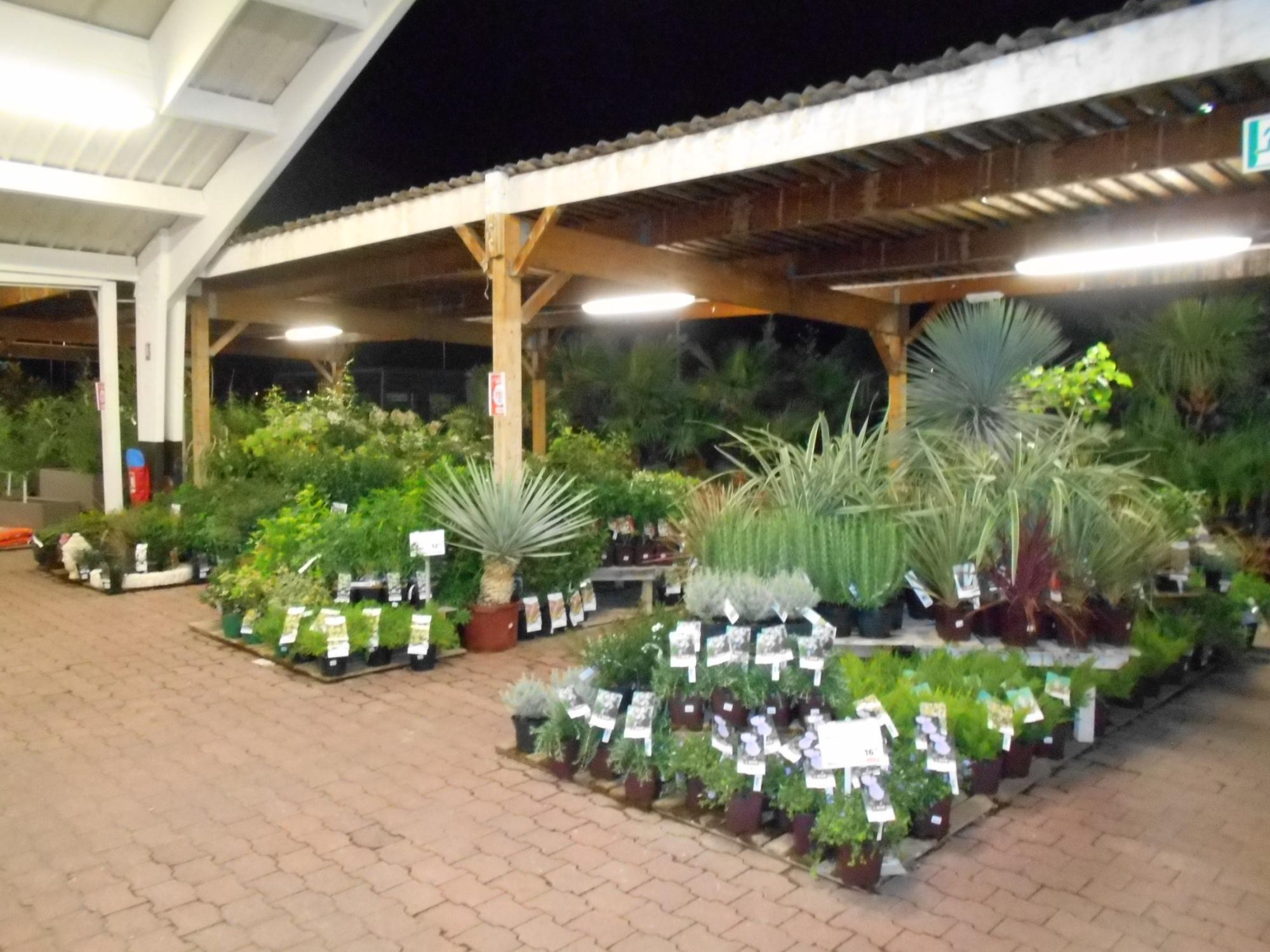 Jardiland : Fleuriste Nîmes 30000 (adresse, horaire et avis)