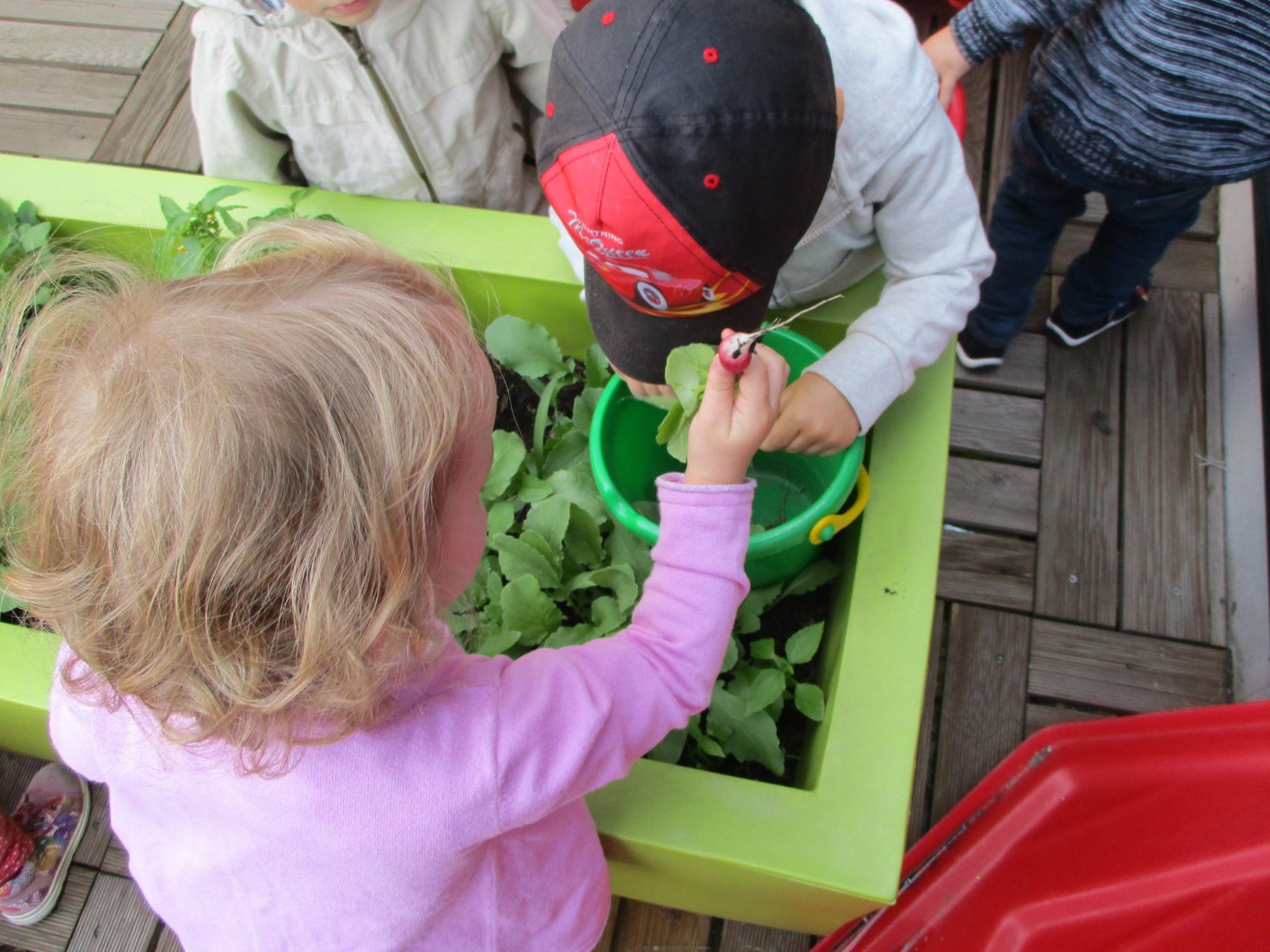 Les Petits Chaperons Rouges : Crèche et garderie Schweighouse sur Moder ...
