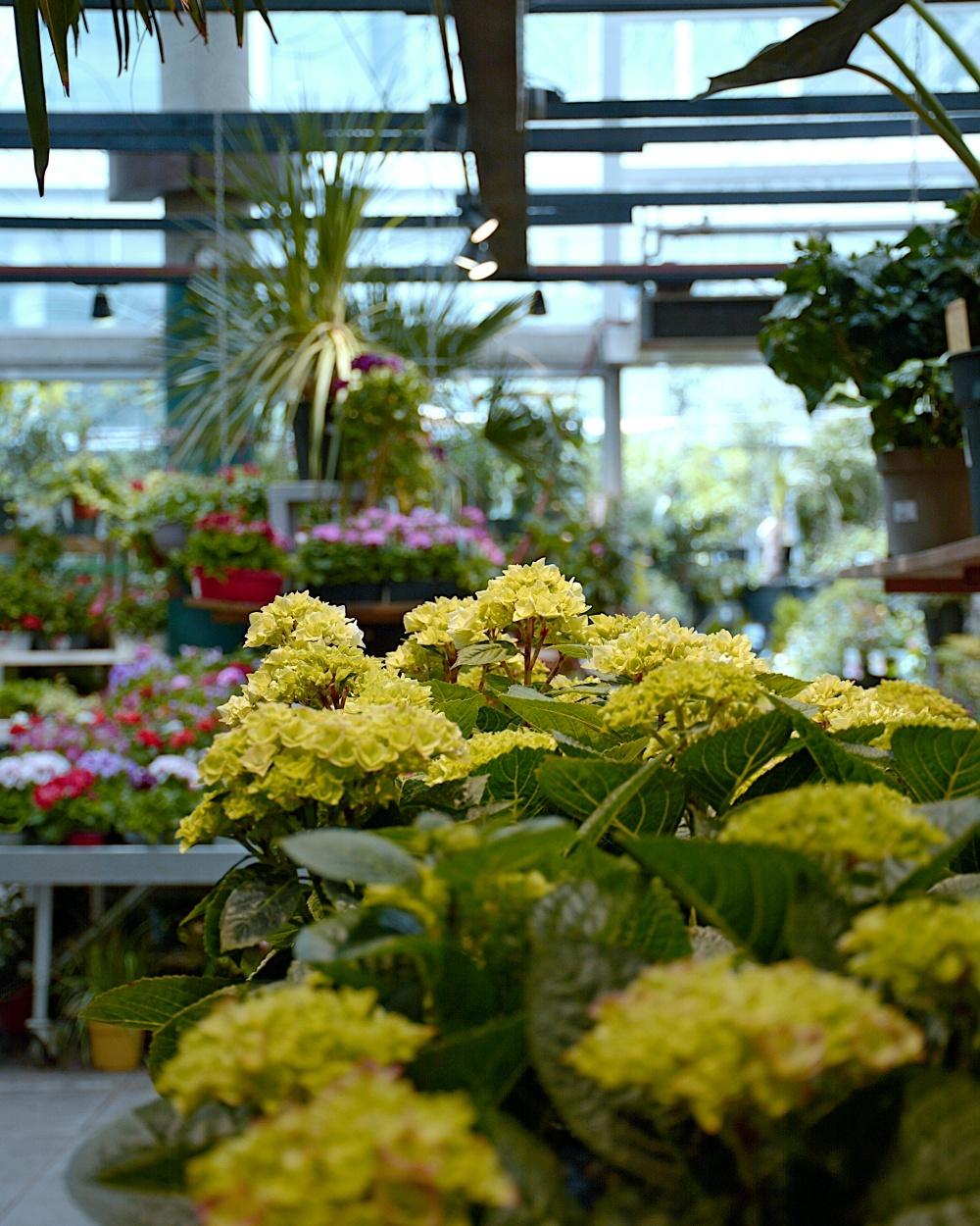 Truffaut : Jardinerie Paris 13ème 75013 (adresse, horaire et avis)