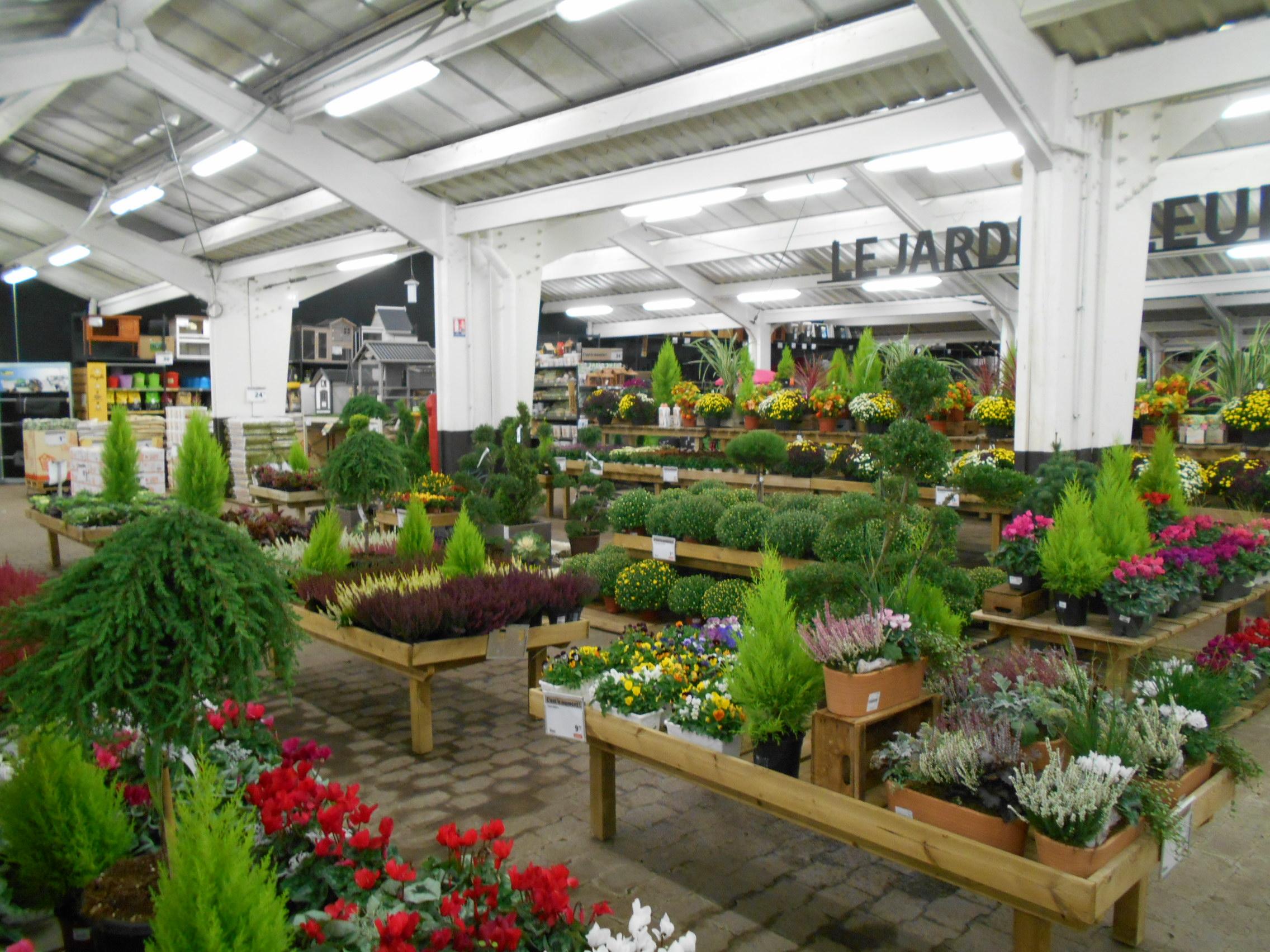 Jardiland : Fleuriste Nîmes 30000 rue cristoni garcia (adresse, horaire ...