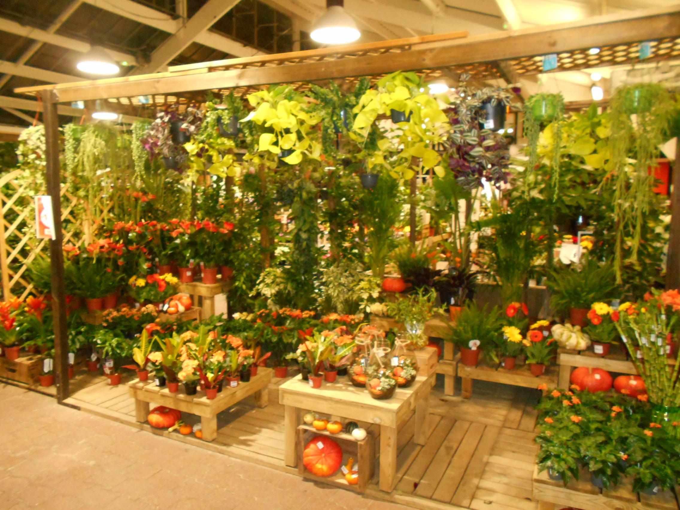 Jardiland : Fleuriste Nîmes 30000 rue cristoni garcia (adresse, horaire ...