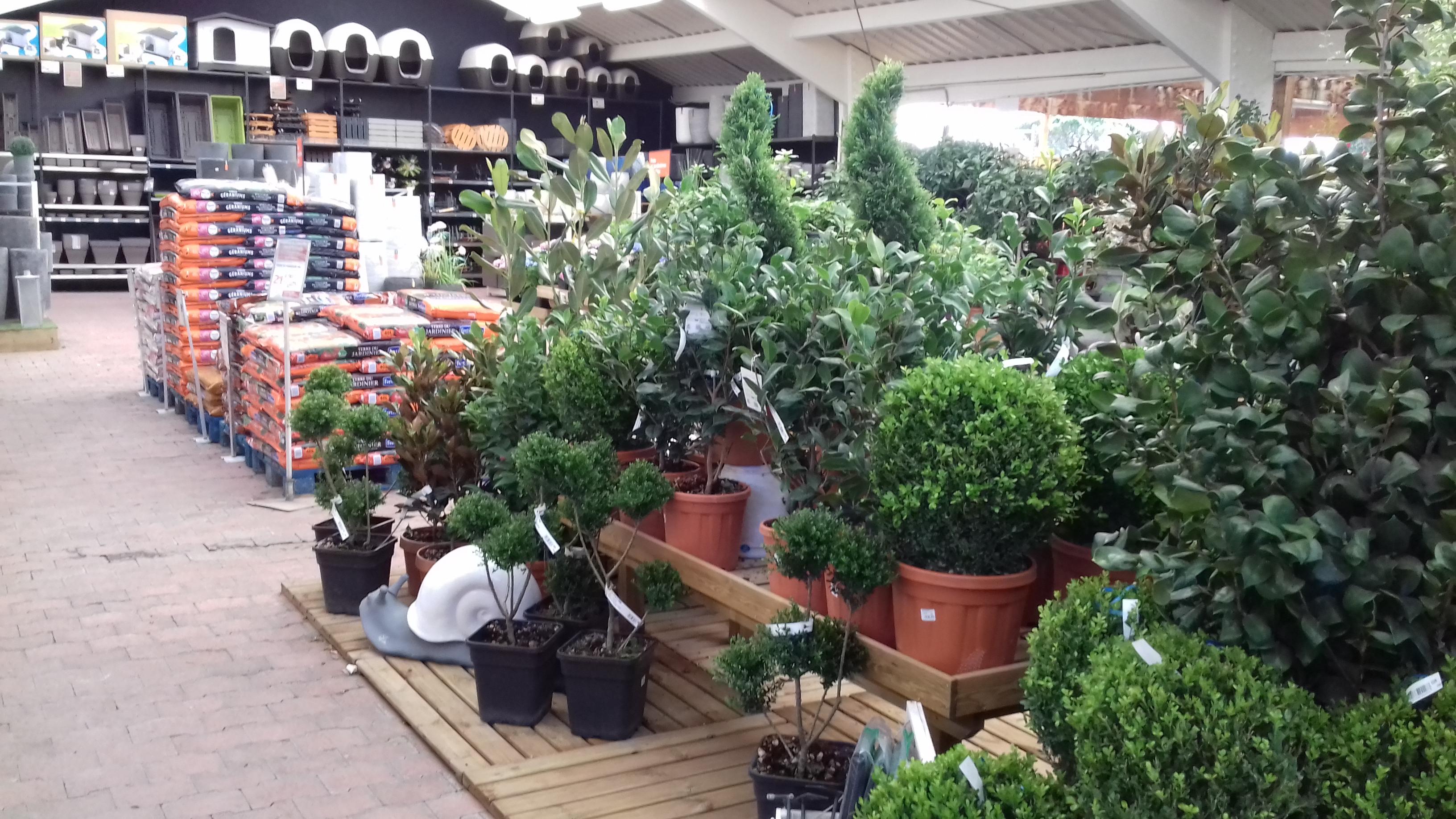 Jardiland : Fleuriste Nîmes 30000 rue cristoni garcia (adresse, horaire ...